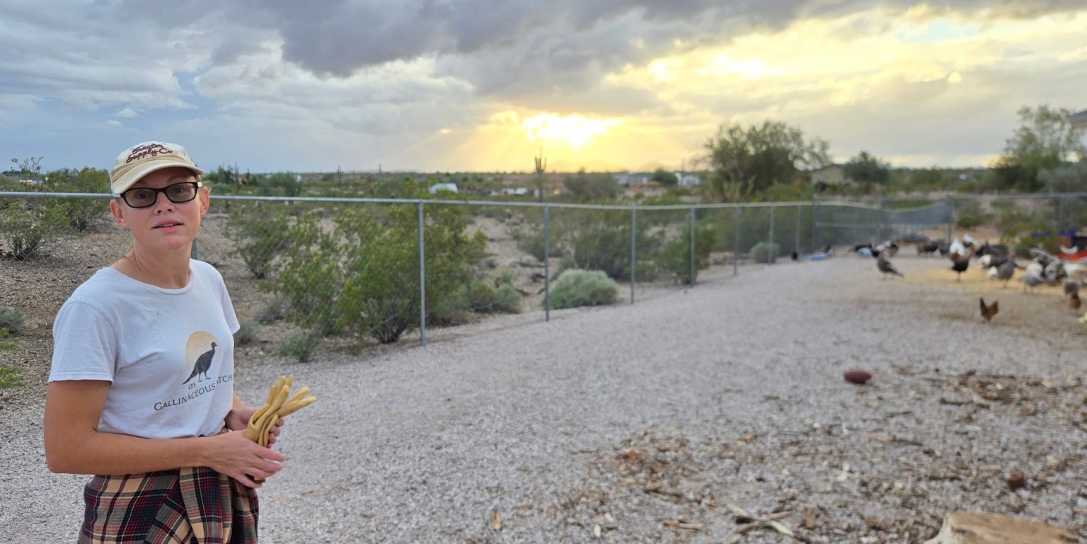 Meet Cherisse Campbell - SHOUTOUT ARIZONA