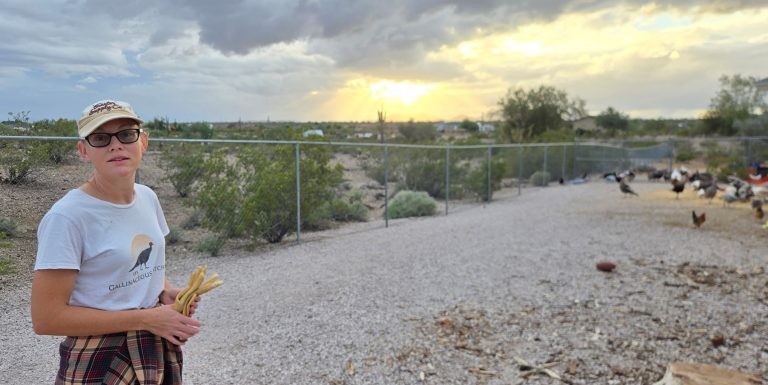 Meet Cherisse Campbell - SHOUTOUT ARIZONA